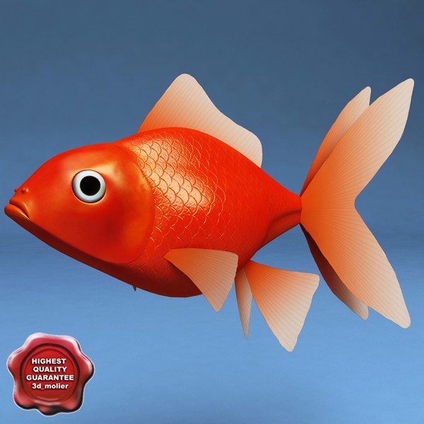 goldfish 3 3d c4d
