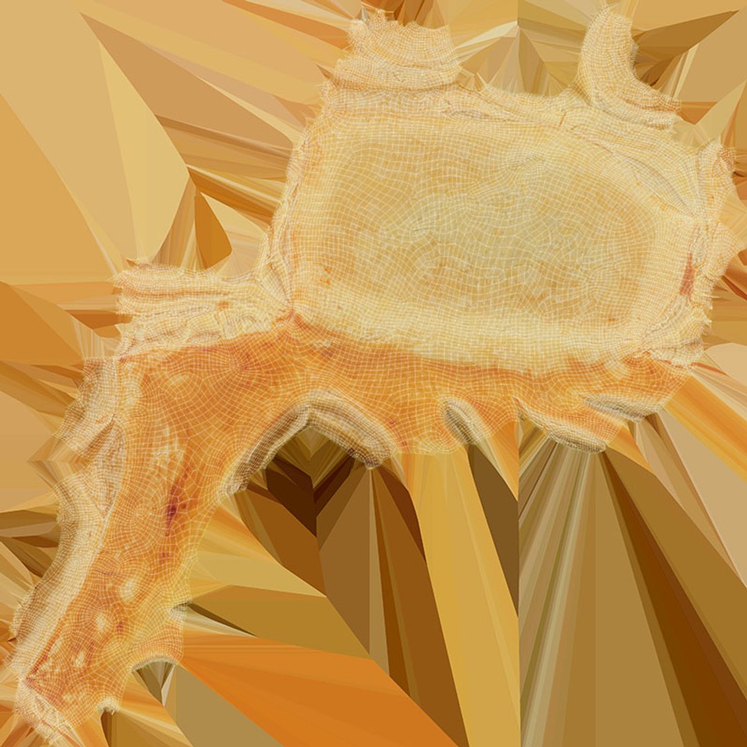 Tuna Puff Pastry 3D Model - TurboSquid 2126470