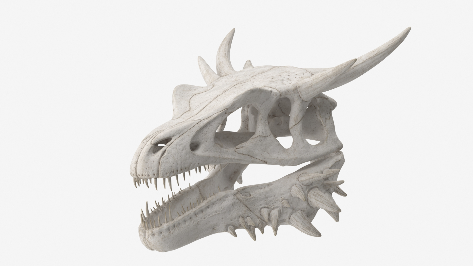 3d Dragon Skull Turbosquid 2368179