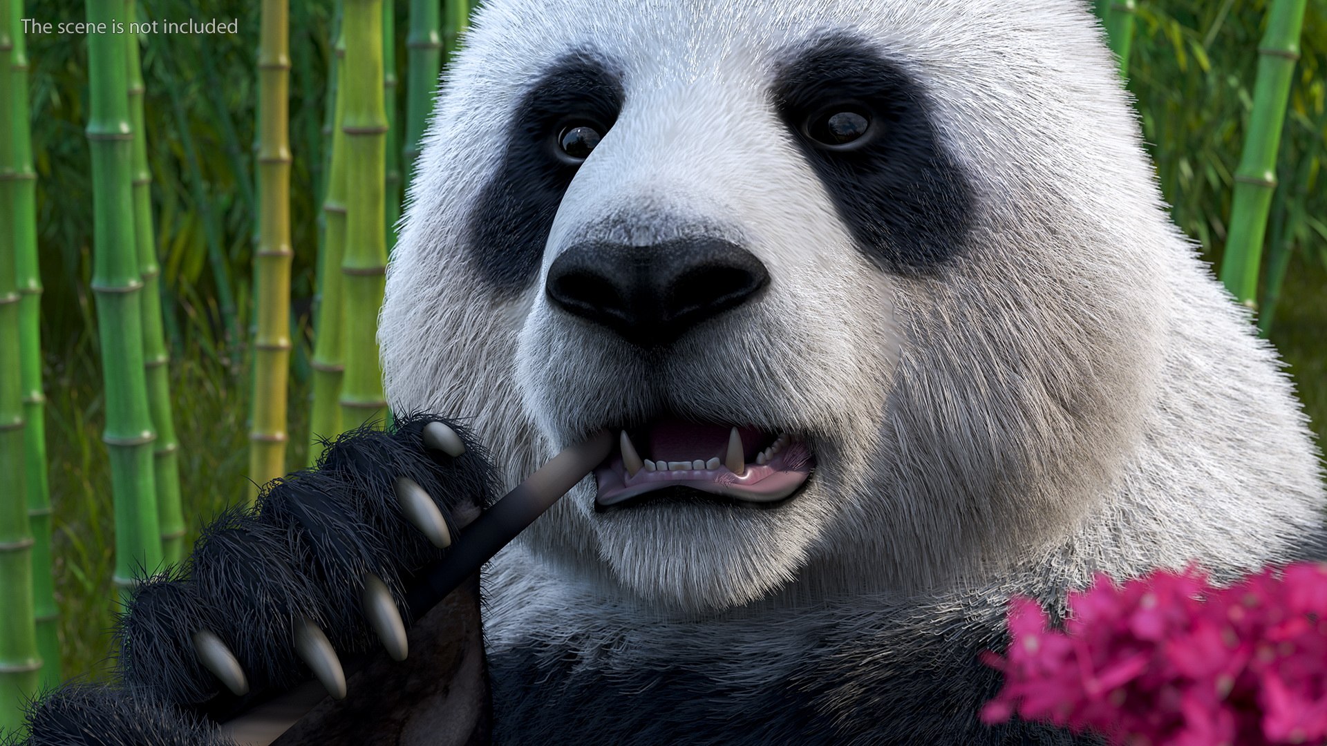 3D Giant Panda Fur Rigged With Eucalyptus Tree Collection - TurboSquid ...
