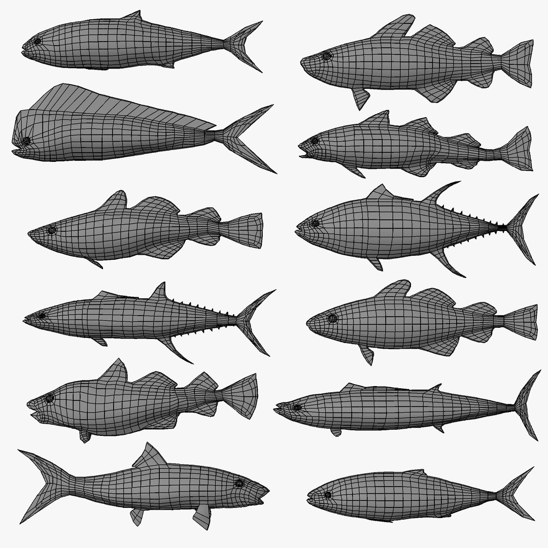 Fish 3D Model - TurboSquid 1377415