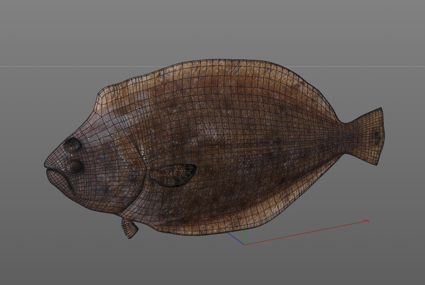 3D Model Fish - TurboSquid 1551927