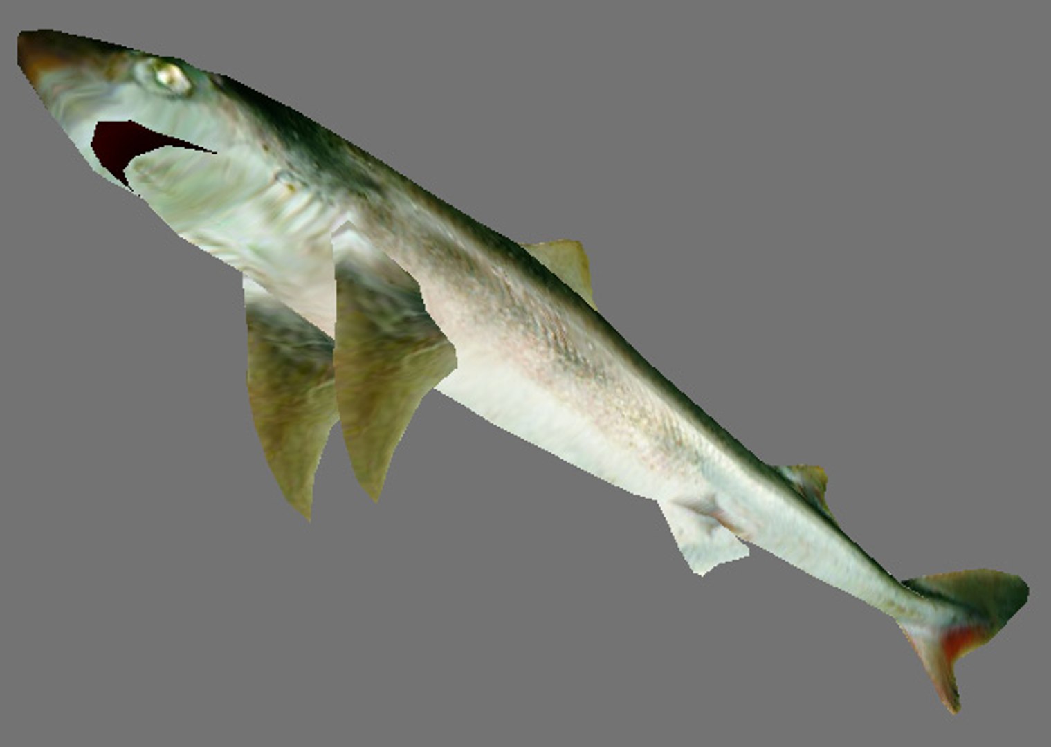 Shark Games 3d Model