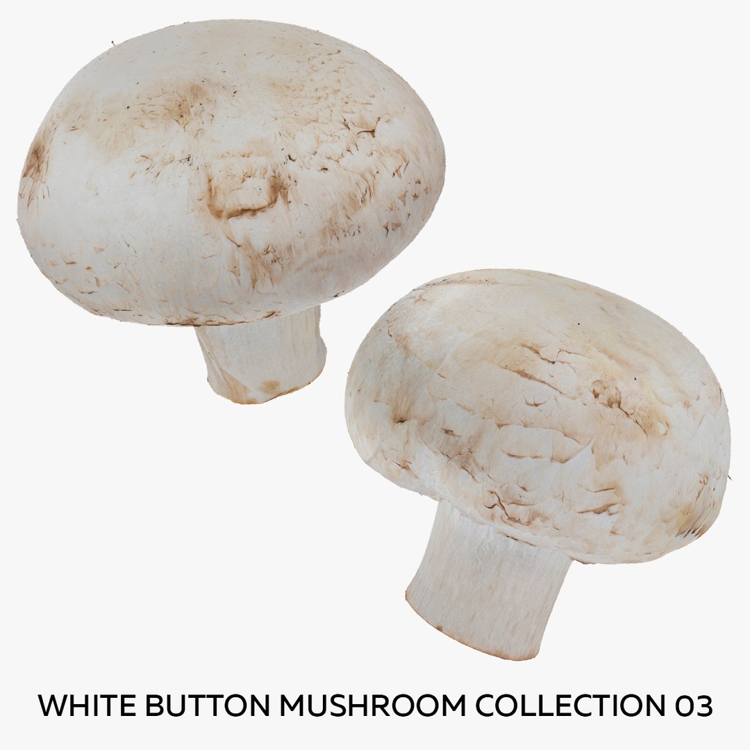 White Button Mushroom Collection 03 - 2 Models RAW Scans 3D Model ...