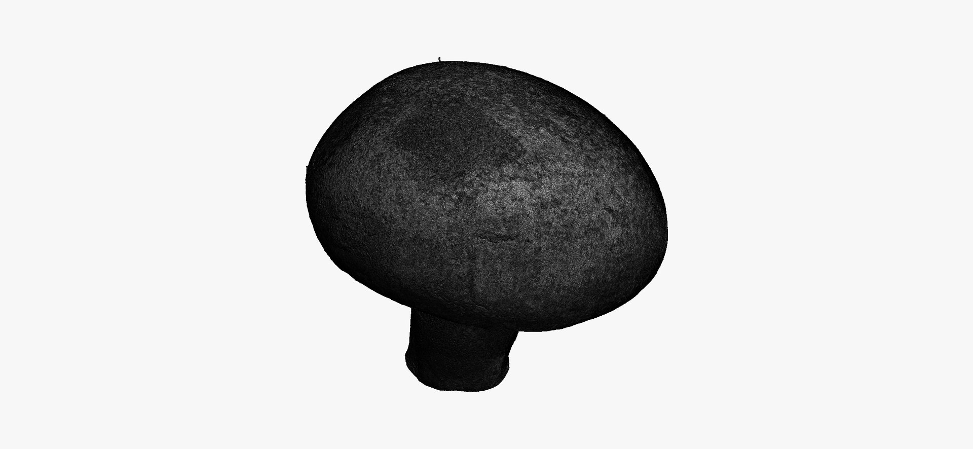 White Button Mushroom Collection 03 - 2 Models RAW Scans 3D Model ...