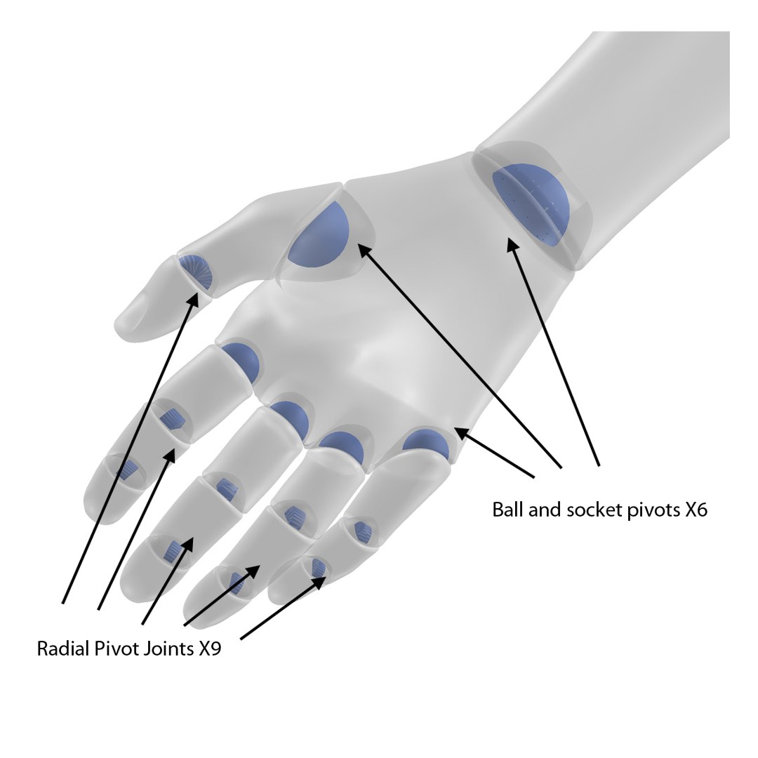 maya poseable male female solidworks