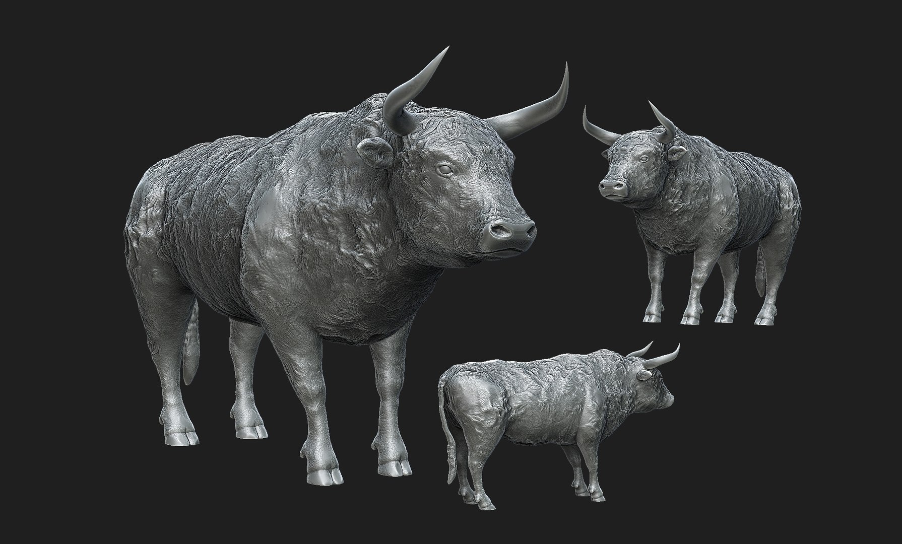 Bull 3D model - TurboSquid 2139715