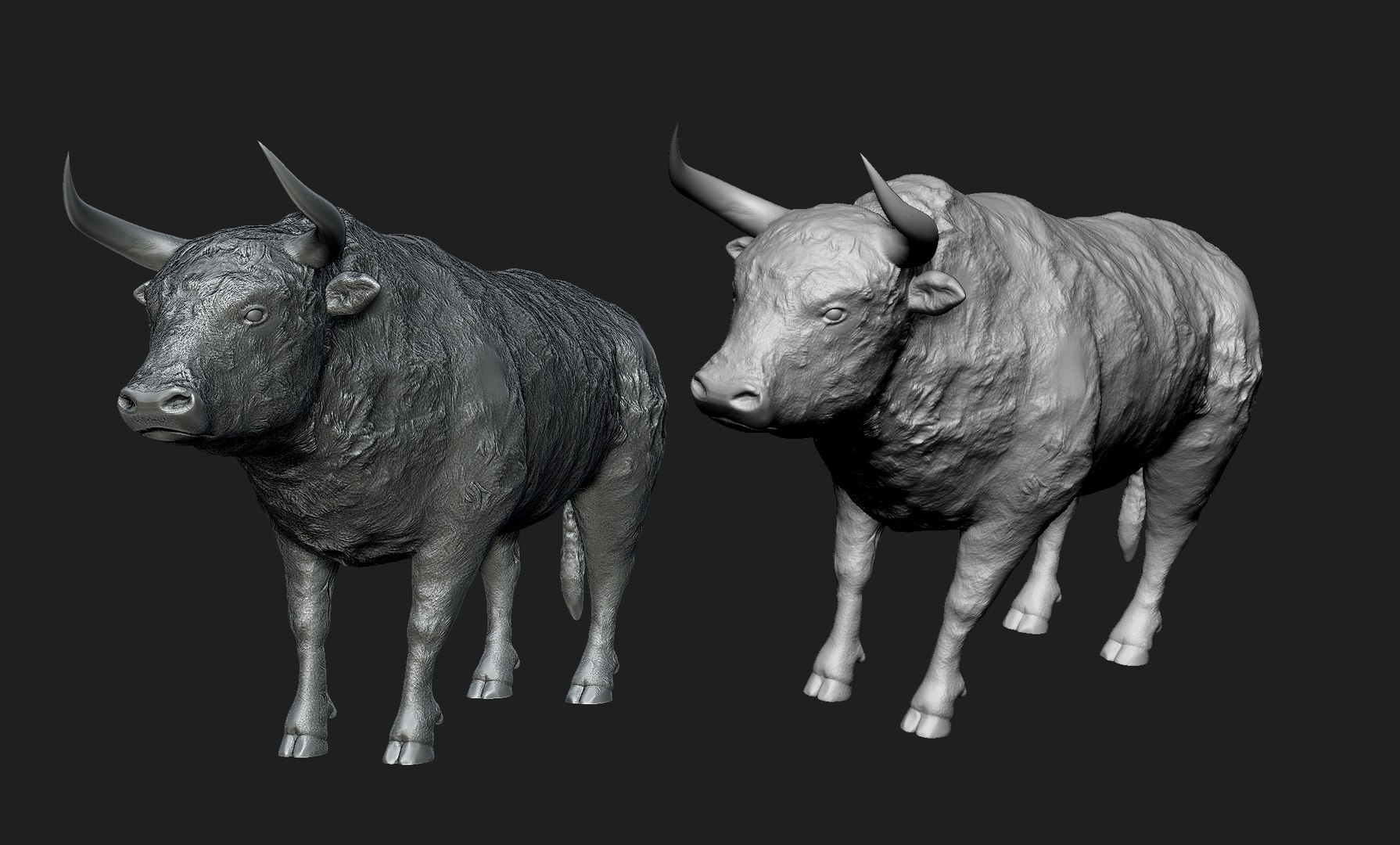 Bull 3D model - TurboSquid 2139715