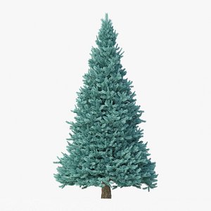 Fir Tree Blender Models for Download | TurboSquid