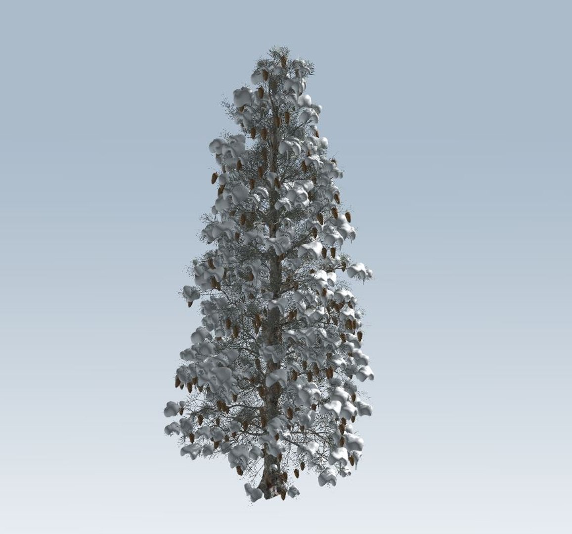 3D Model Tree Winter Spruce - TurboSquid 1367297