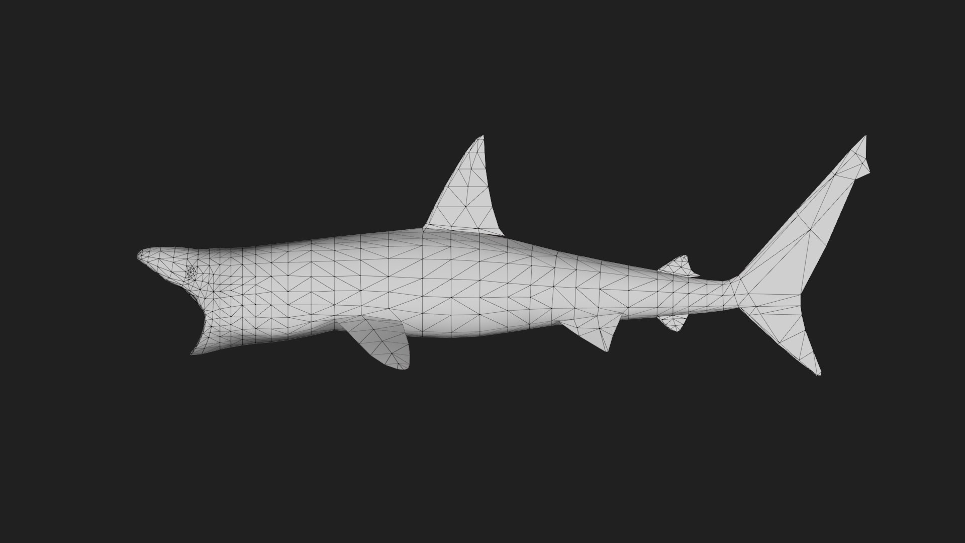 Shark 3D Model - TurboSquid 2122554