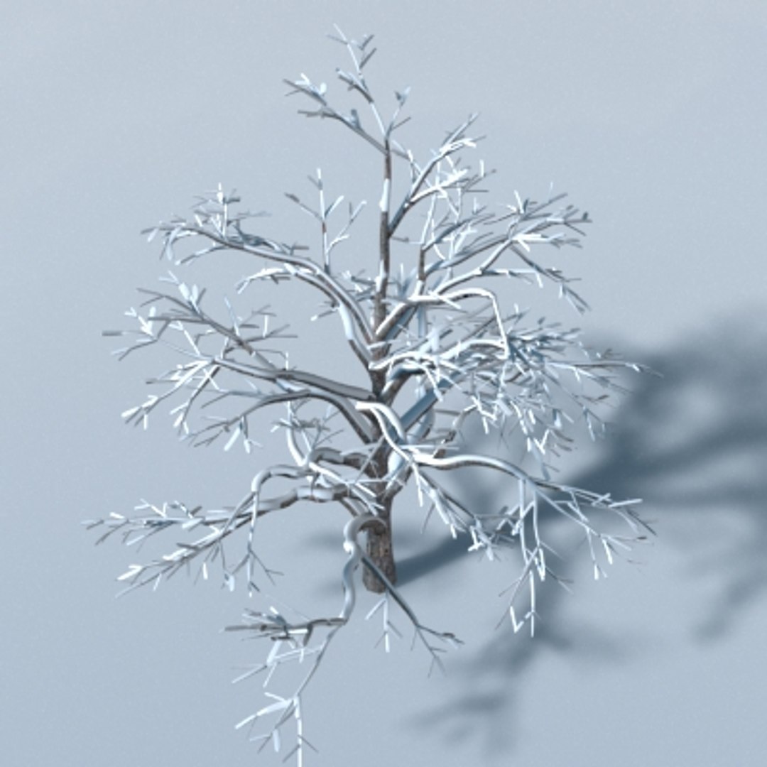3d Snow Tree Model