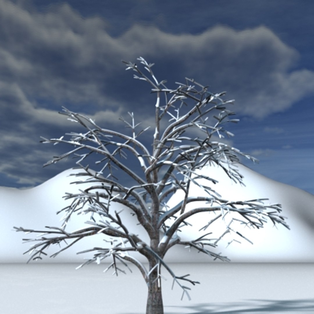 3d Snow Tree Model
