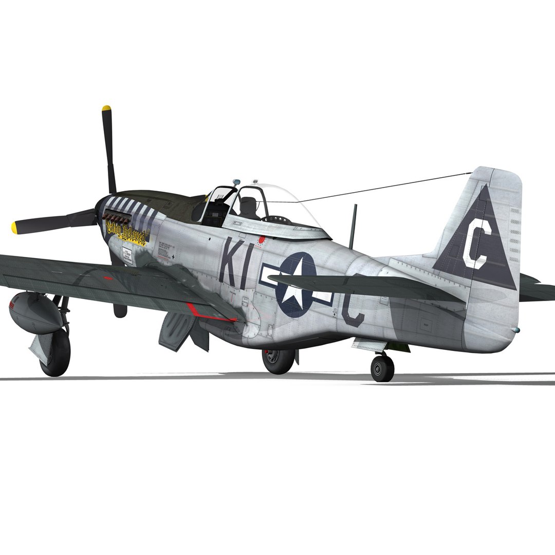 3d Model North American - Cathy