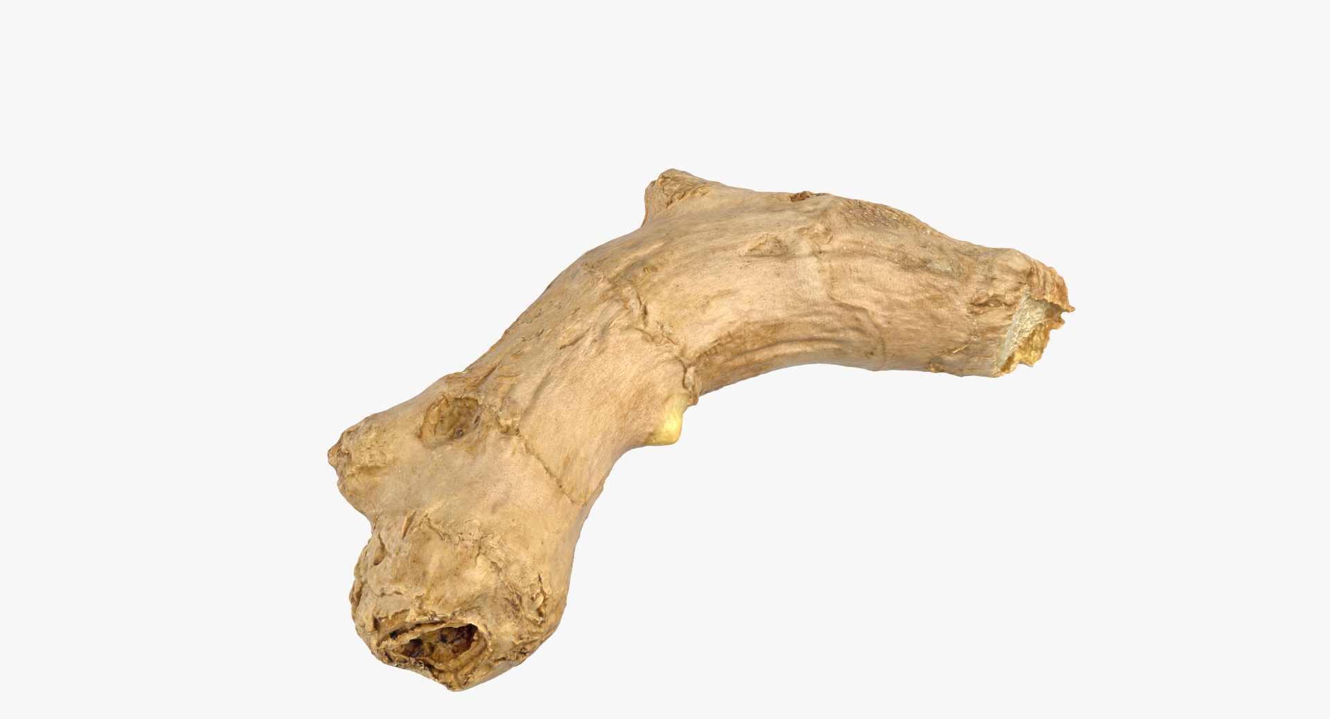 3D Ginger Root 01 Model - TurboSquid 1399231