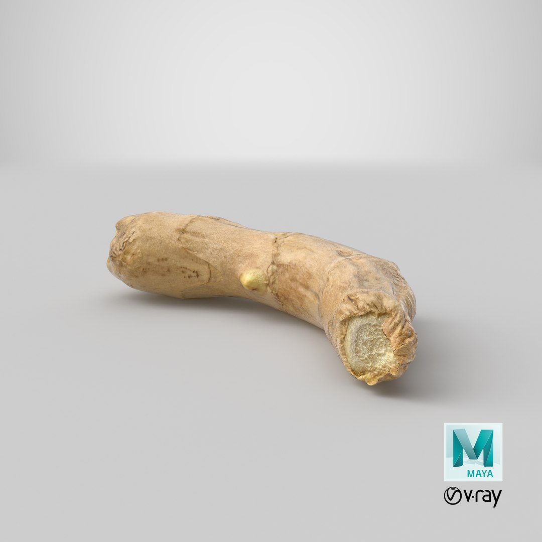 3D Ginger Root 01 Model - TurboSquid 1399231