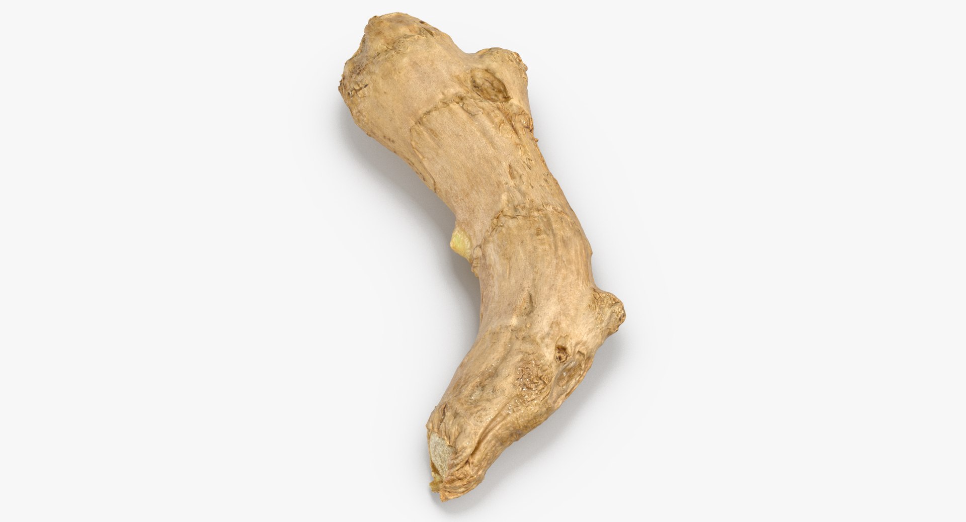 3D Ginger Root 01 Model - TurboSquid 1399231