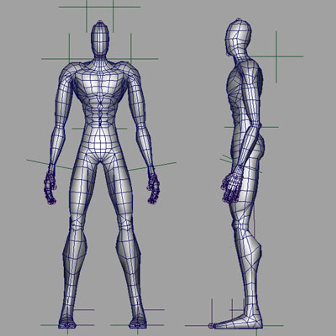 Mannequin Human Animator 3d Model