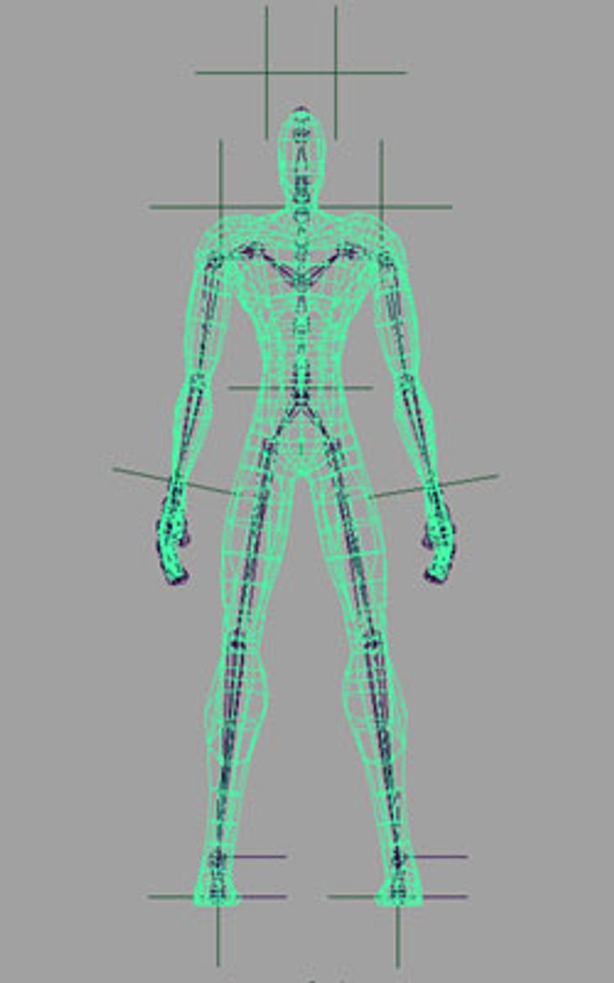 Mannequin Human Animator 3d Model