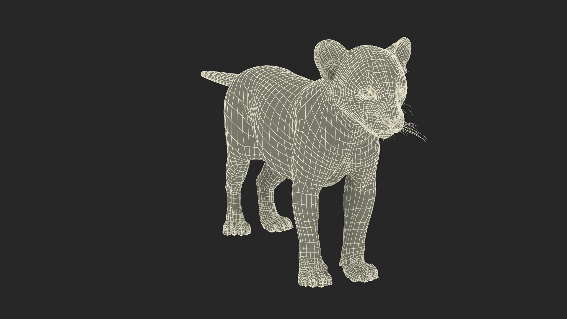 Leopard Cub Standing Pose Model - TurboSquid 2335642