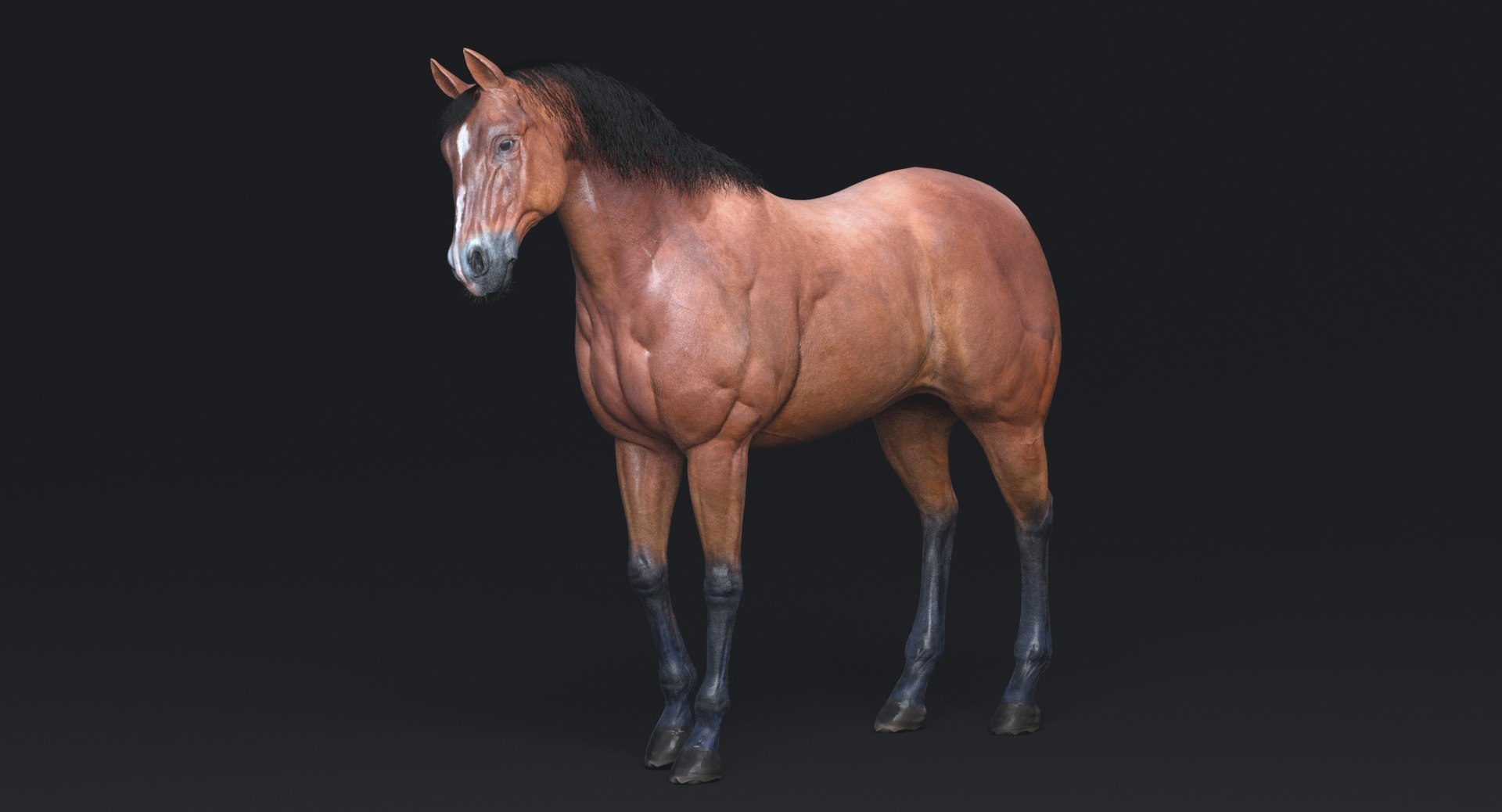 3D horse rigging animation walk - TurboSquid 1334039