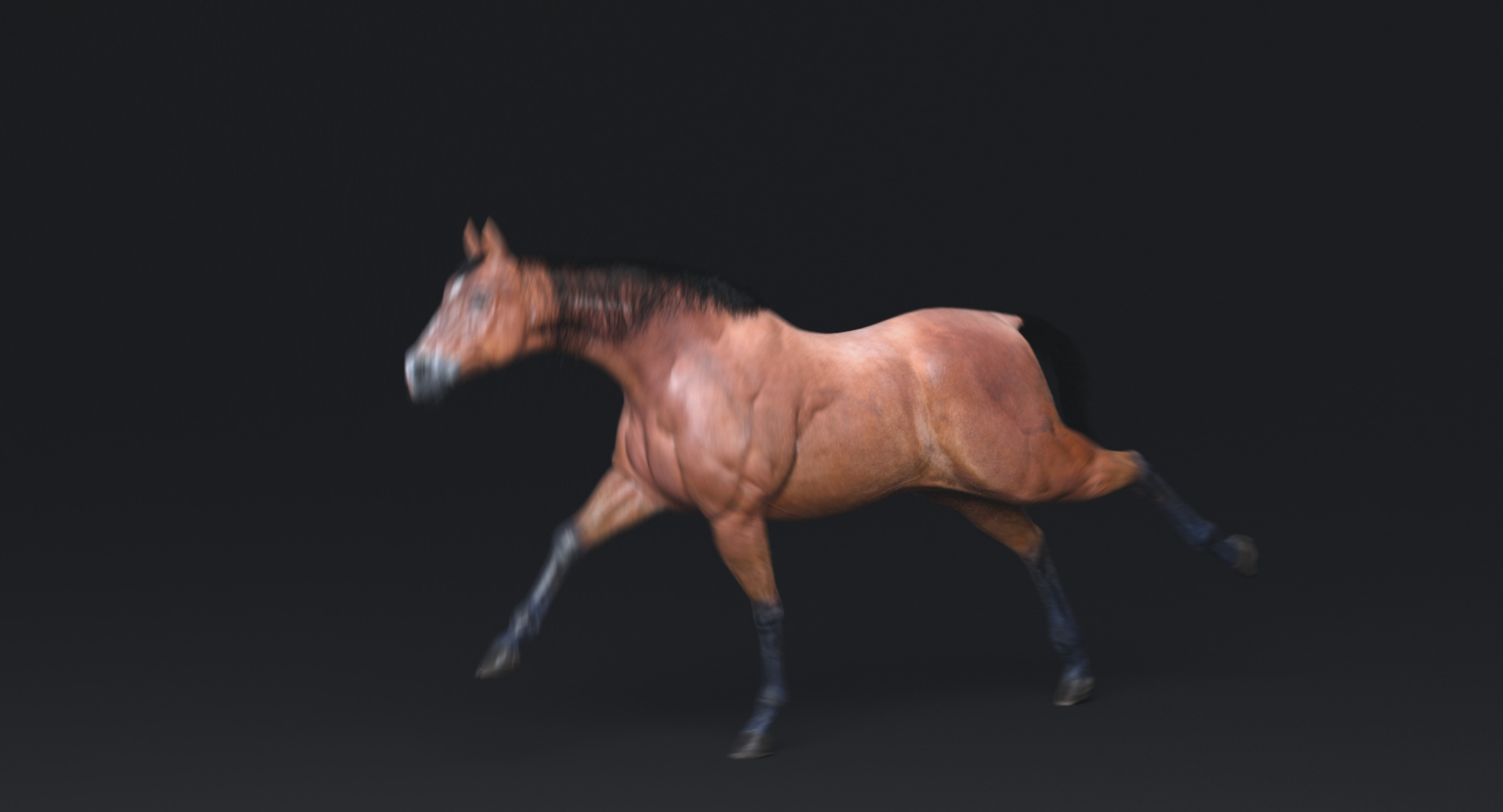 3D horse rigging animation walk - TurboSquid 1334039