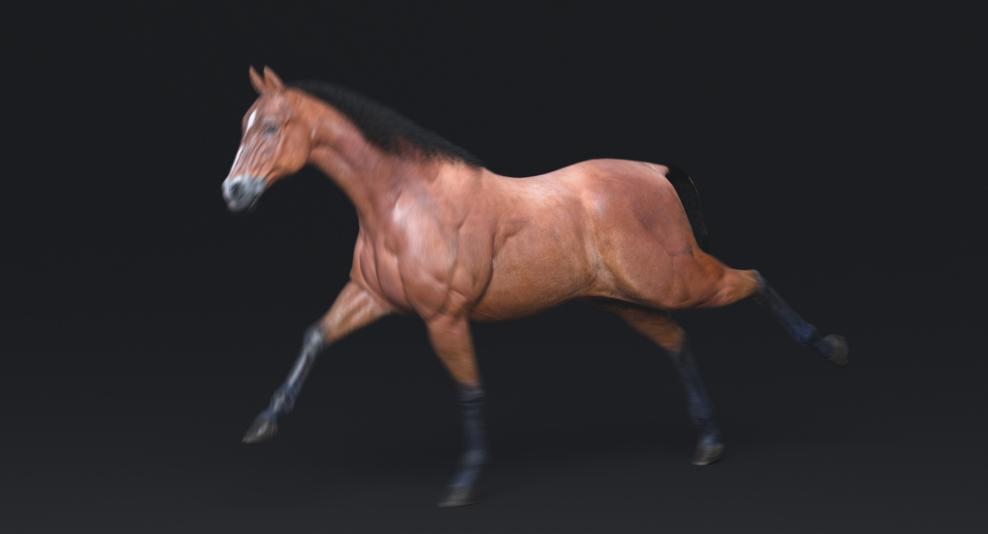 3D Horse Rigging Animation Walk - TurboSquid 1334039