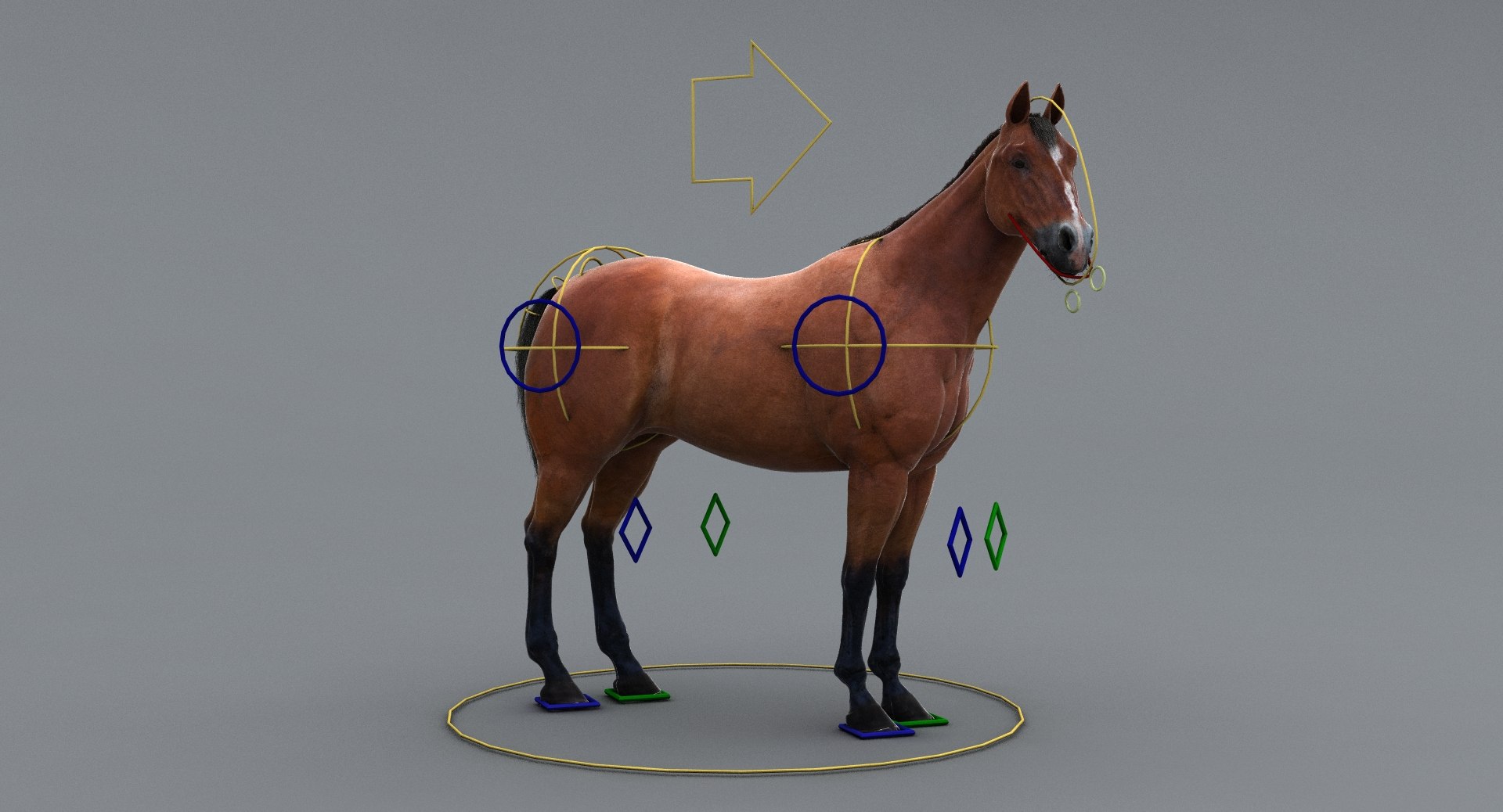 3D Horse Rigging Animation Walk - TurboSquid 1334039
