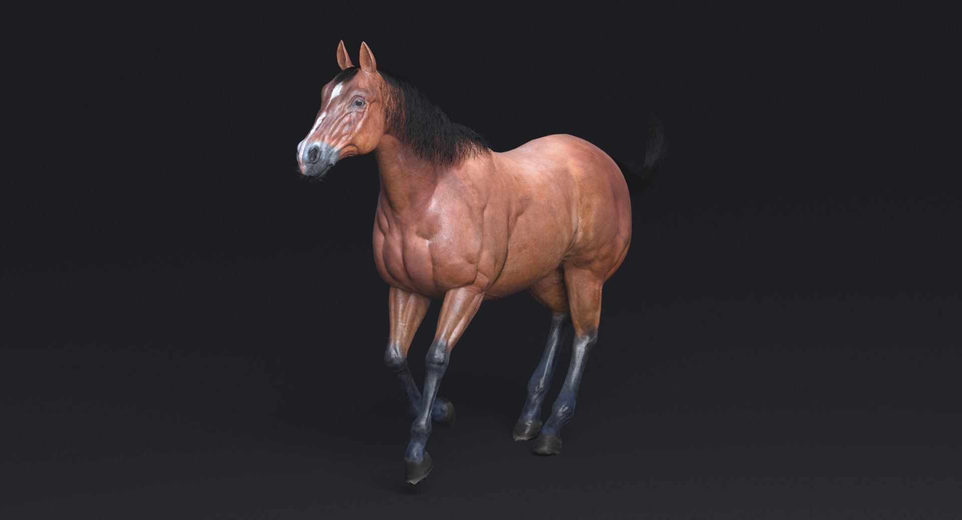 3D horse rigging animation walk - TurboSquid 1334039