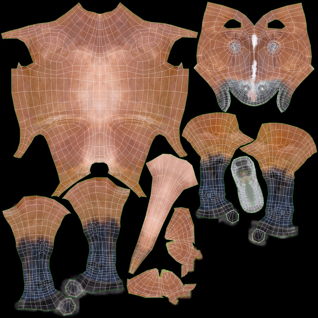 3D Horse Rigging Animation Walk - TurboSquid 1334039