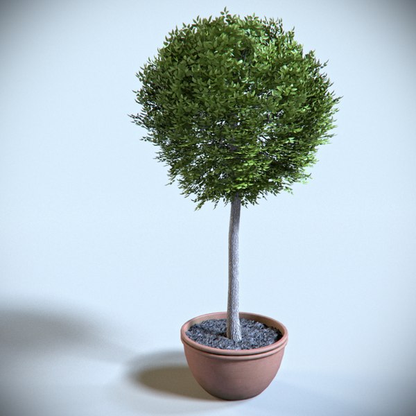 3d decoration shrub