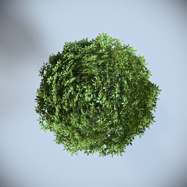 3d decoration shrub