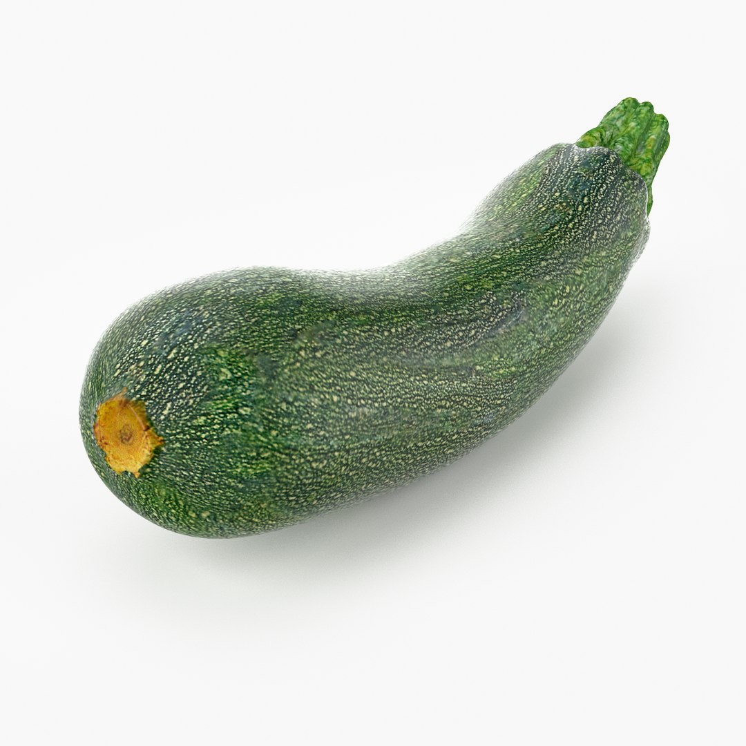 3d Realistic Squash Real Vegetables