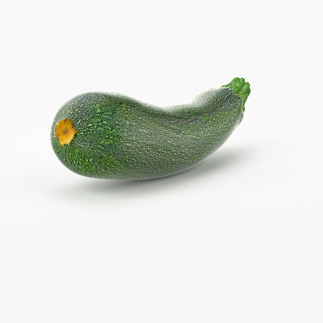3d Realistic Squash Real Vegetables