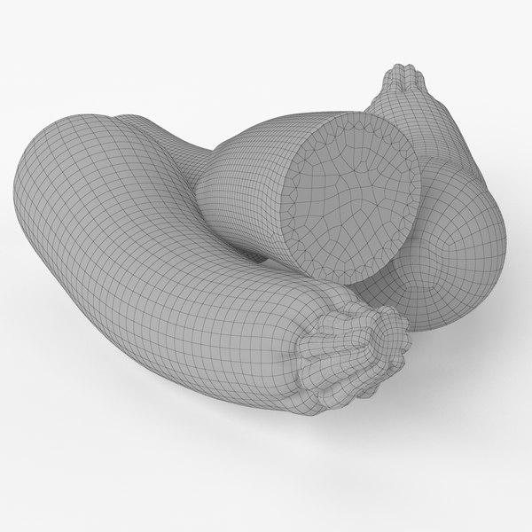 3d realistic squash real vegetables