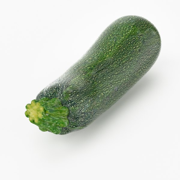 3d realistic squash real vegetables