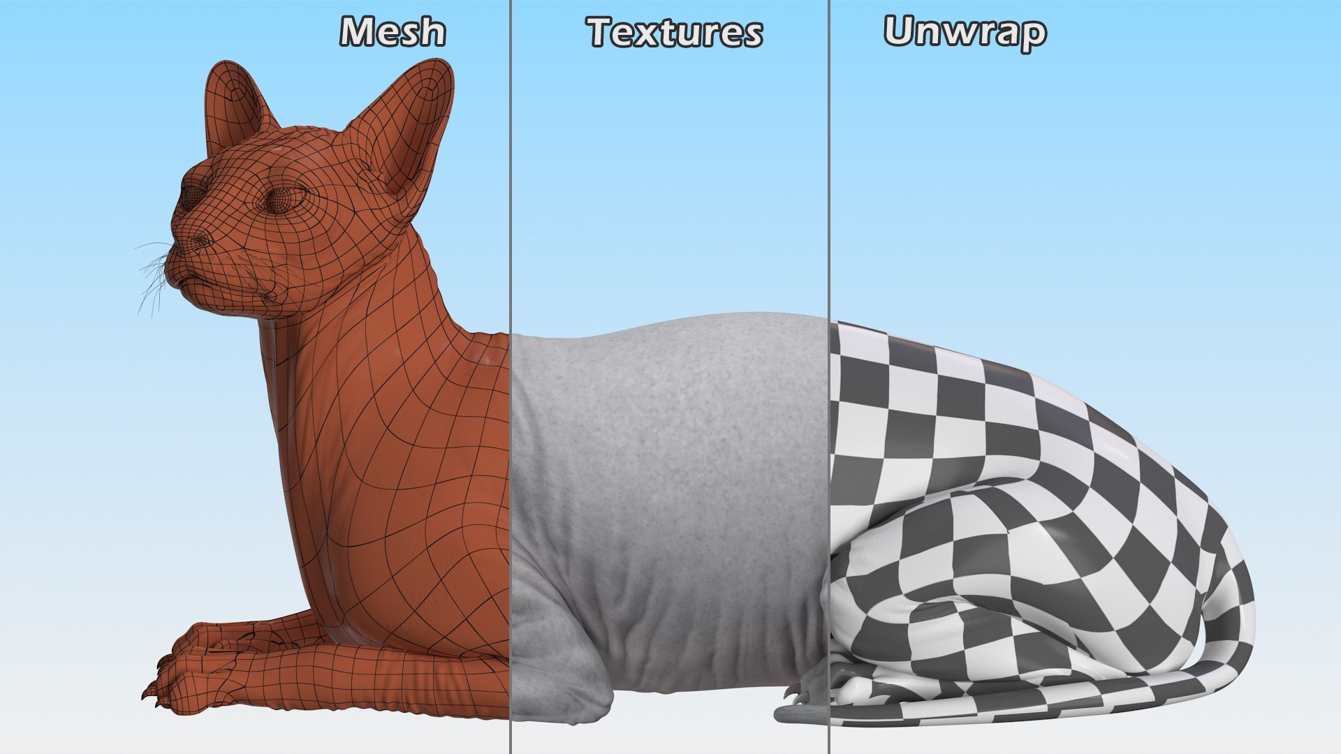 3D Sphynx Cat With Cat Accessories Collection Model - TurboSquid 2298725