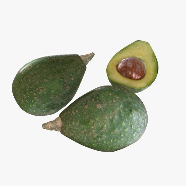 modelo 3d Palta - TurboSquid 1537646