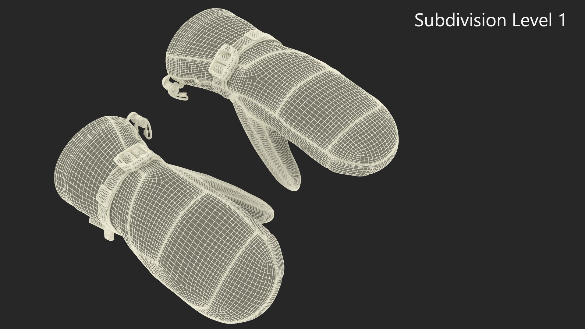 3D model The North Face Mens Montana Etip GTX Mitten Gloves Beige ...