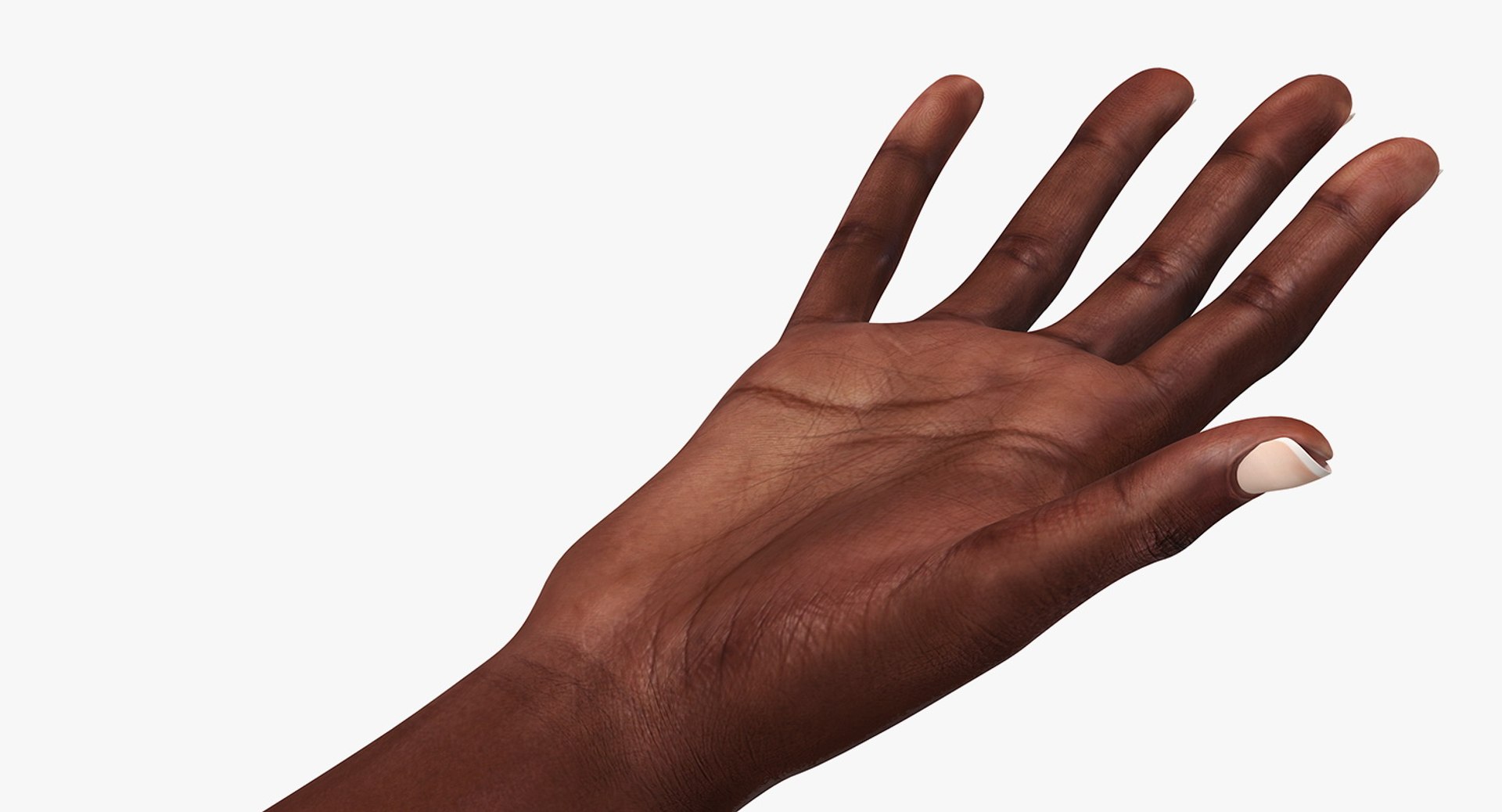 African female hands short 3D model - TurboSquid 1393998