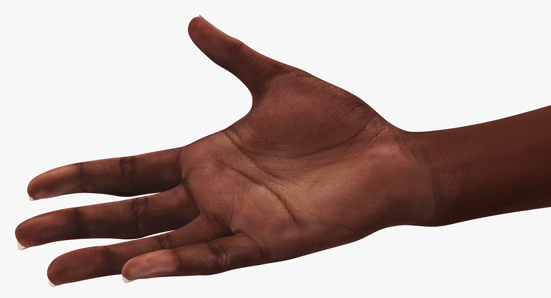 African female hands short 3D model - TurboSquid 1393998