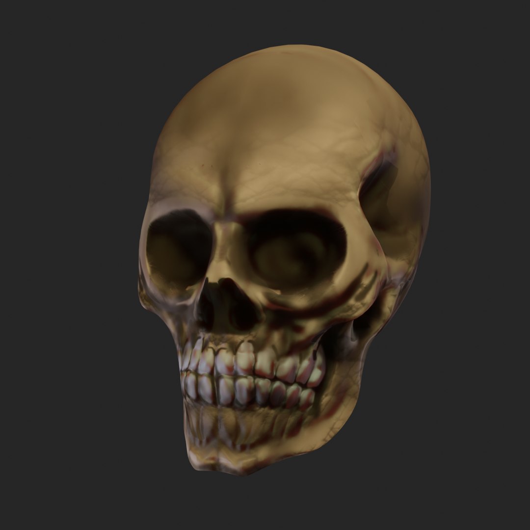3D Scull 3D Studo - TurboSquid 1779497