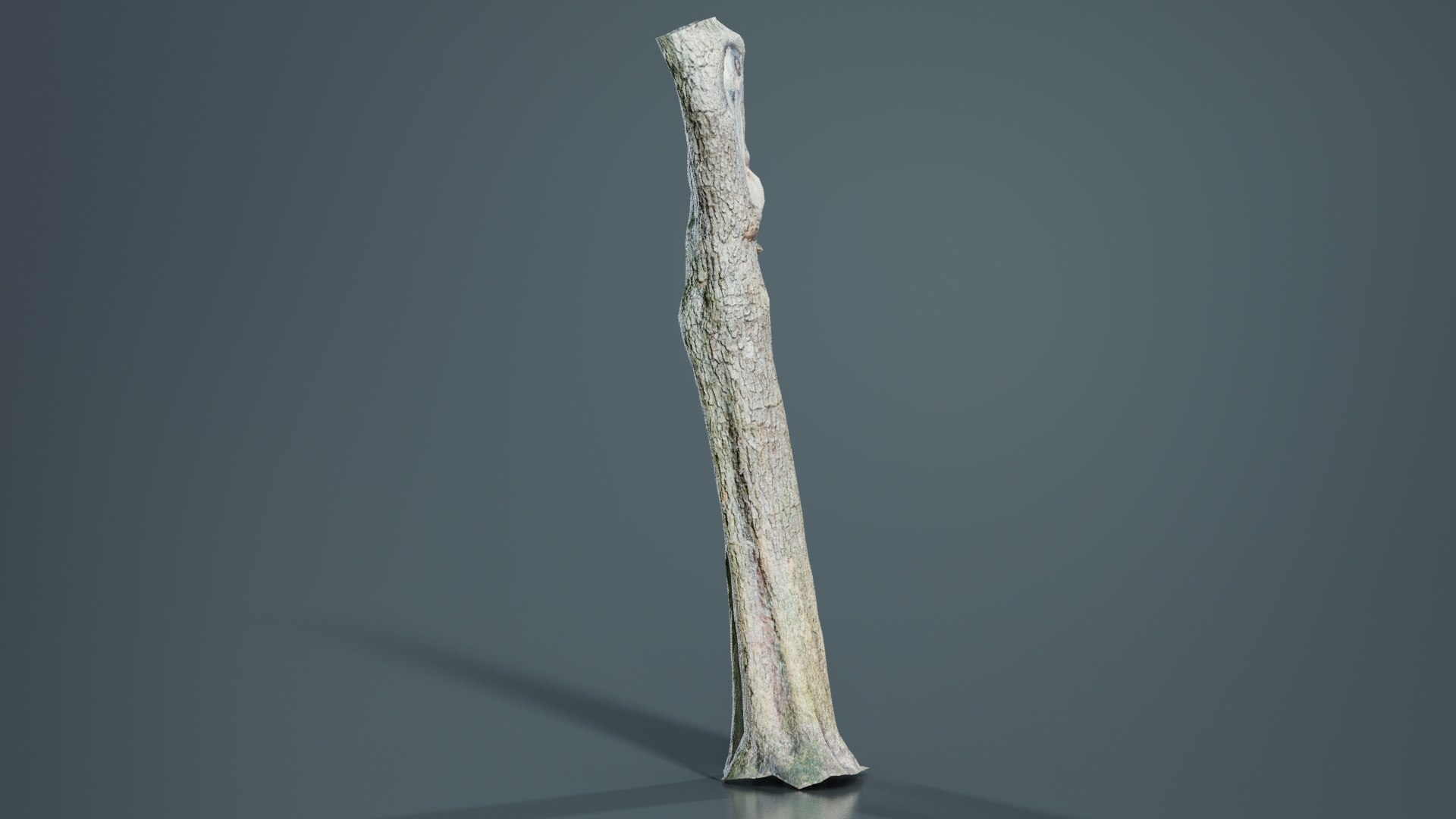 3D Slit Tree Trunk Remastered Model - TurboSquid 2363182