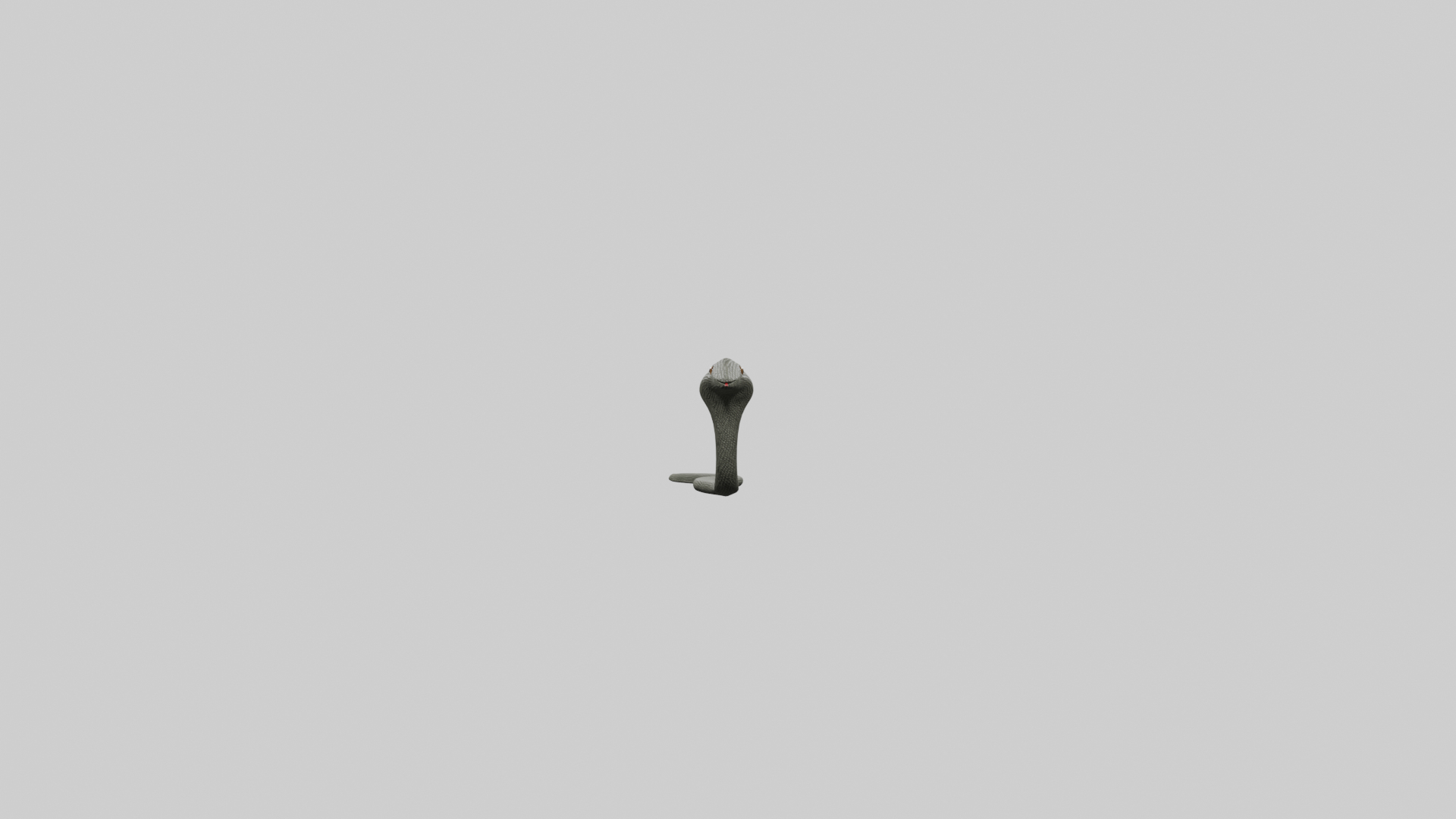 Snake Model - TurboSquid 2057051