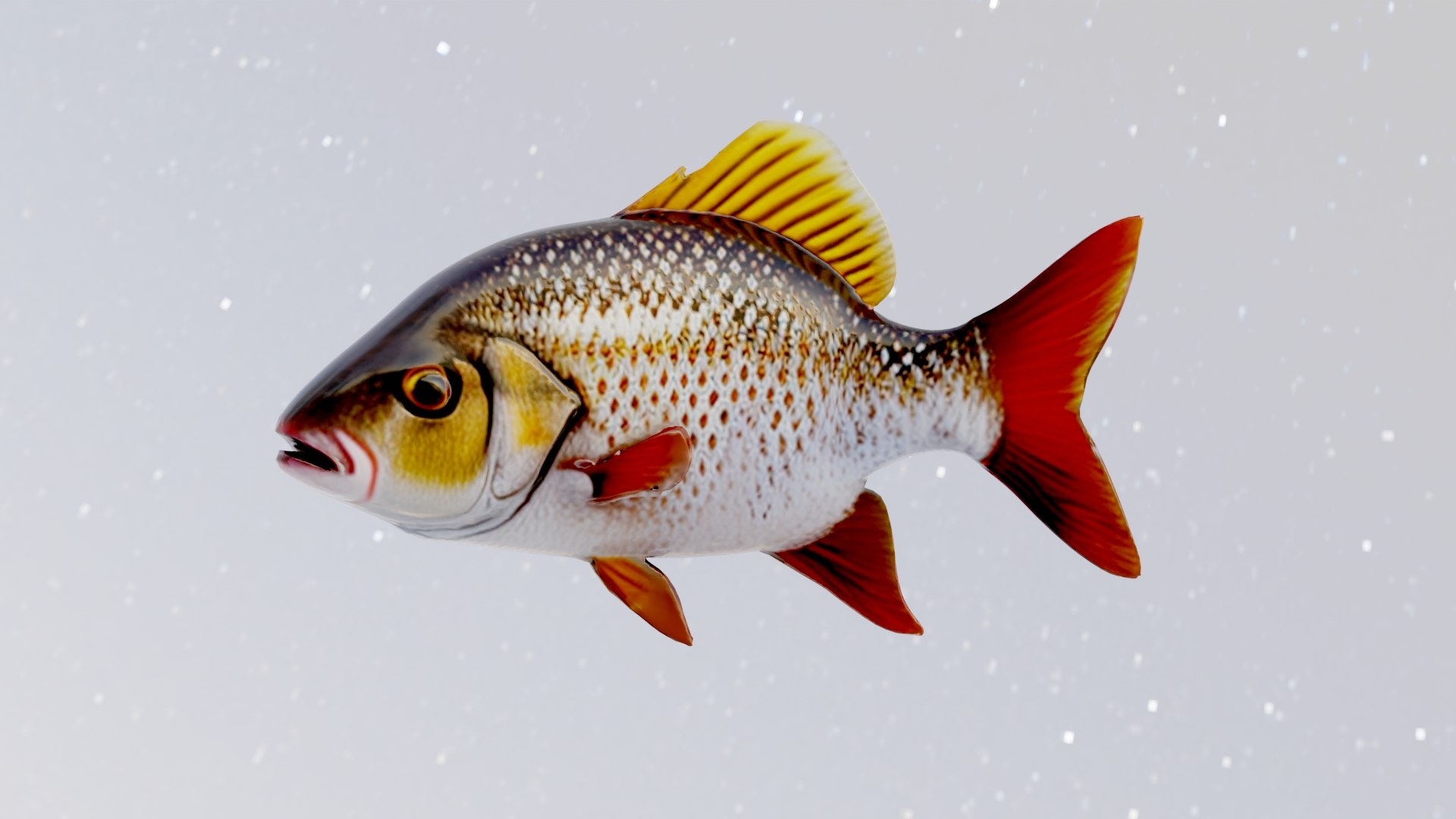 3D Fish PBR Rigging Animation - TurboSquid 2351290