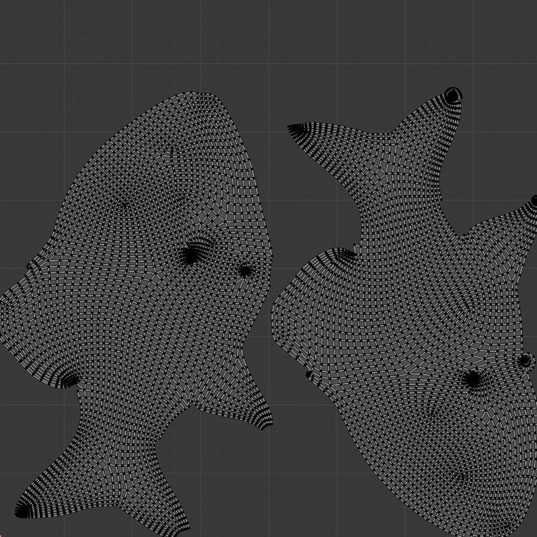 3D Fish PBR Rigging Animation - TurboSquid 2351290