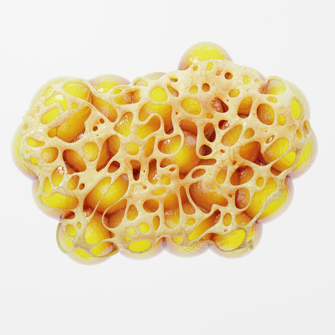 3D Fat Cell - TurboSquid 1658673