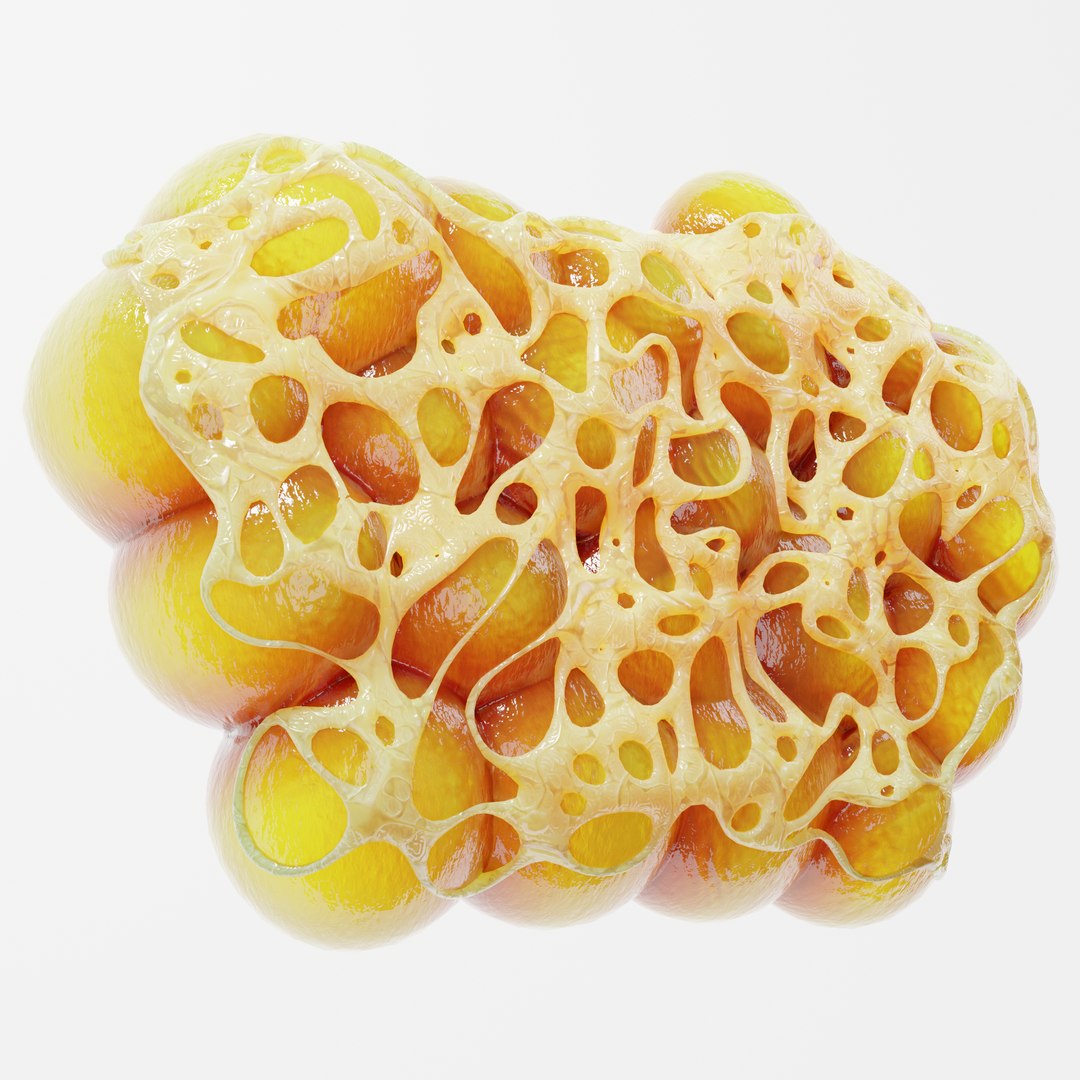 3D Fat Cell - TurboSquid 1658673