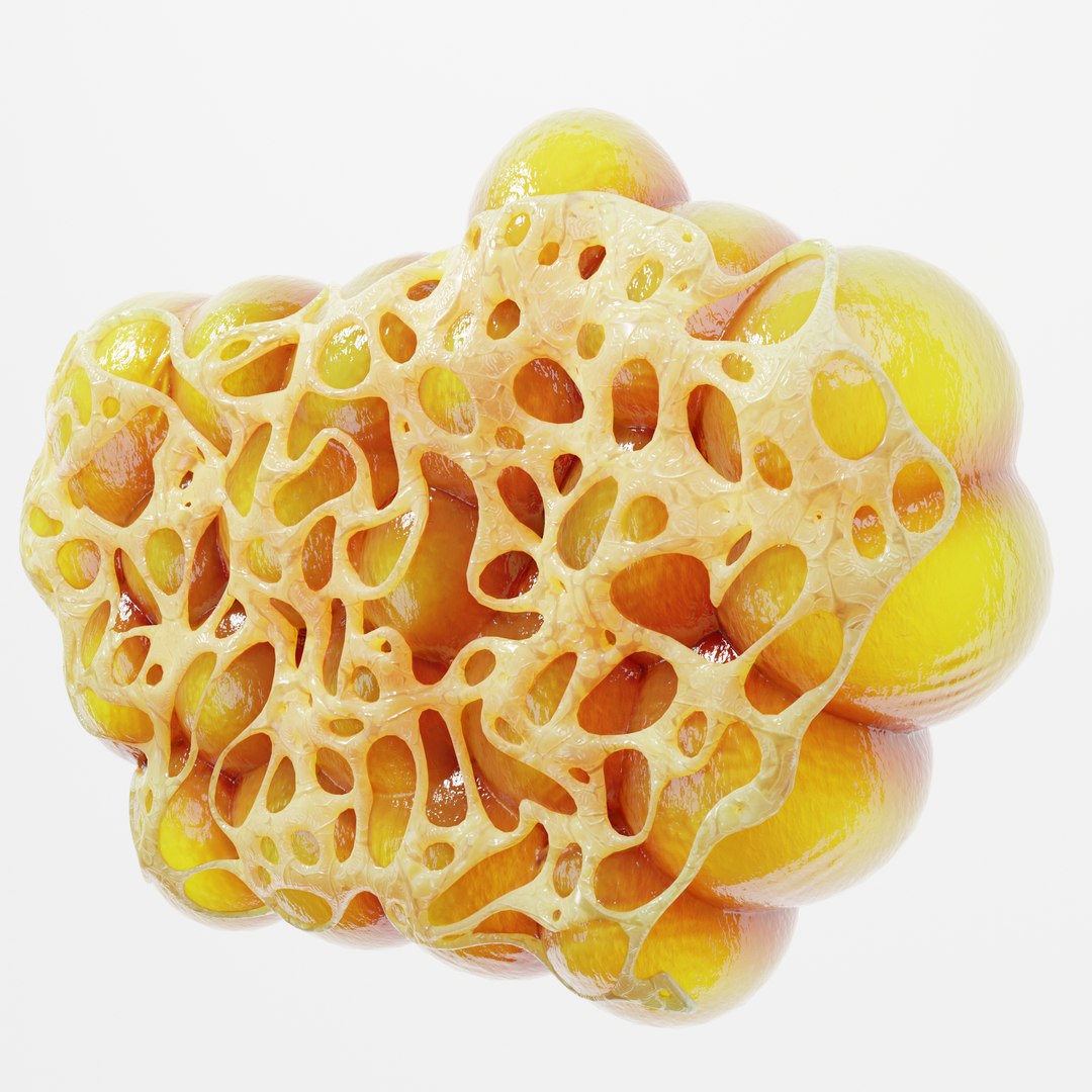3D Fat Cell - TurboSquid 1658673