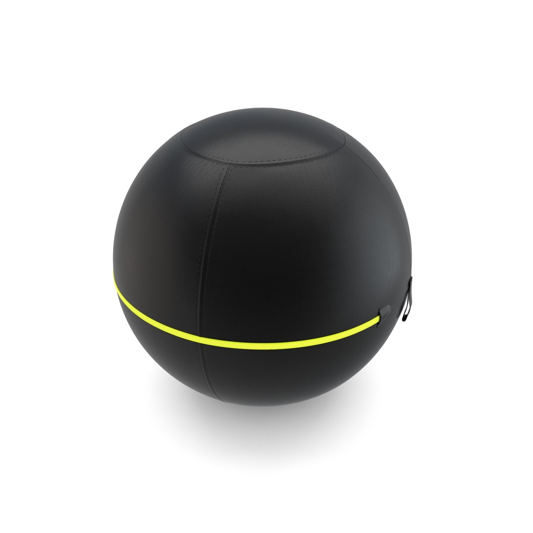 3D - Technogym Ball - TurboSquid 1155826